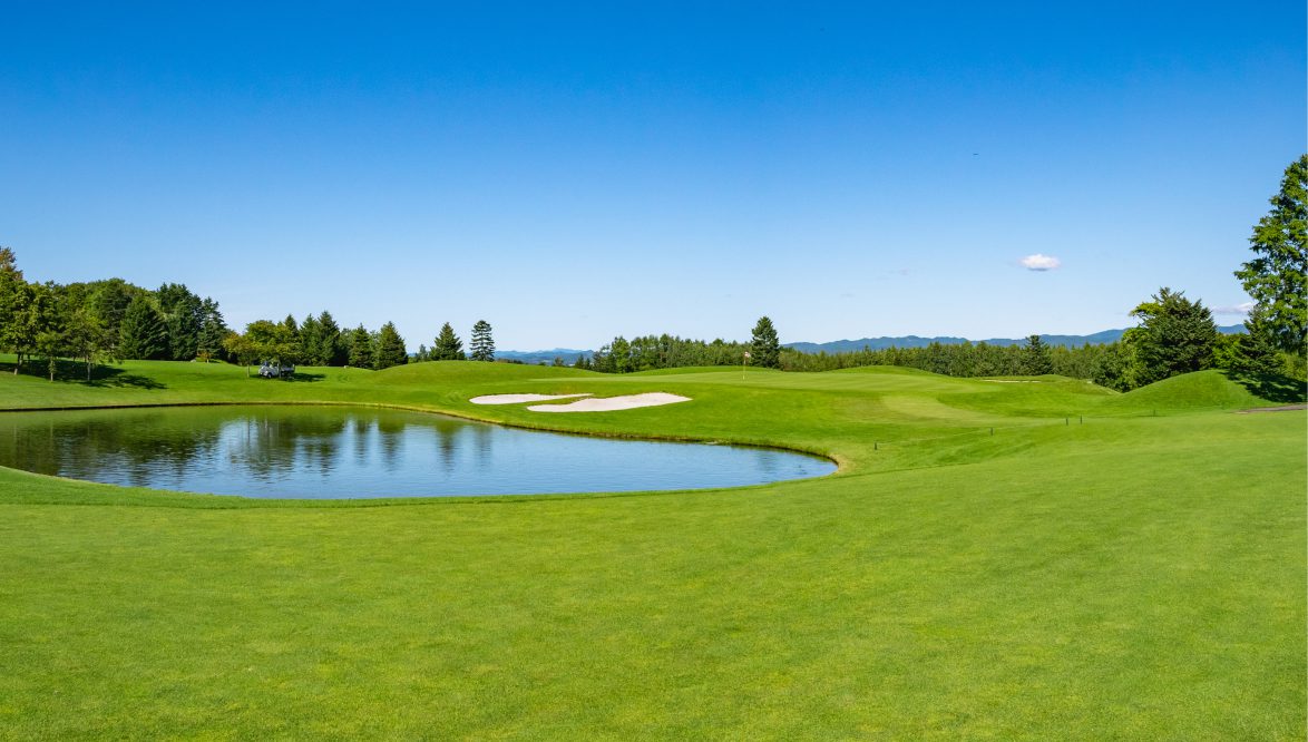 Single Golfer – LiUNA Local 183 Charitable Foundation